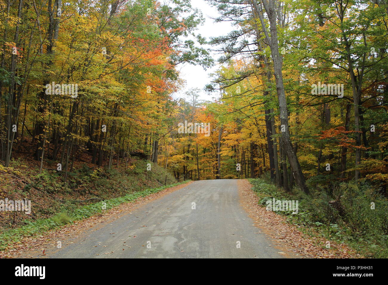 Chemung county hi-res stock photography and images - Alamy