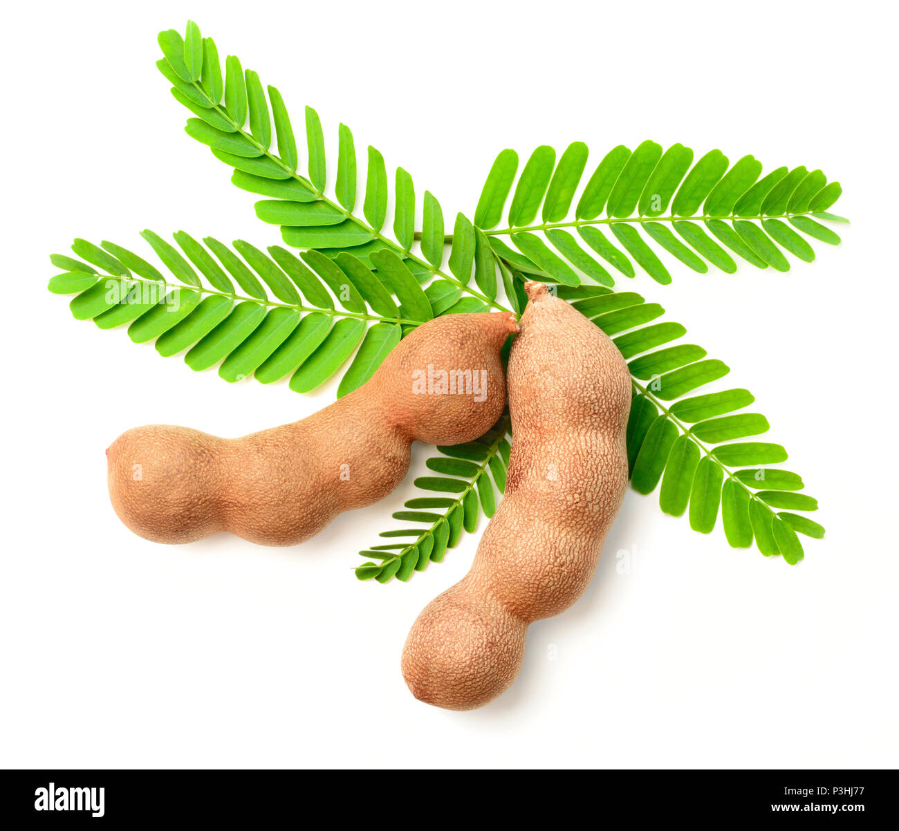 fresh tamarind fruits and leaves isolated on white Stock Photo - Alamy