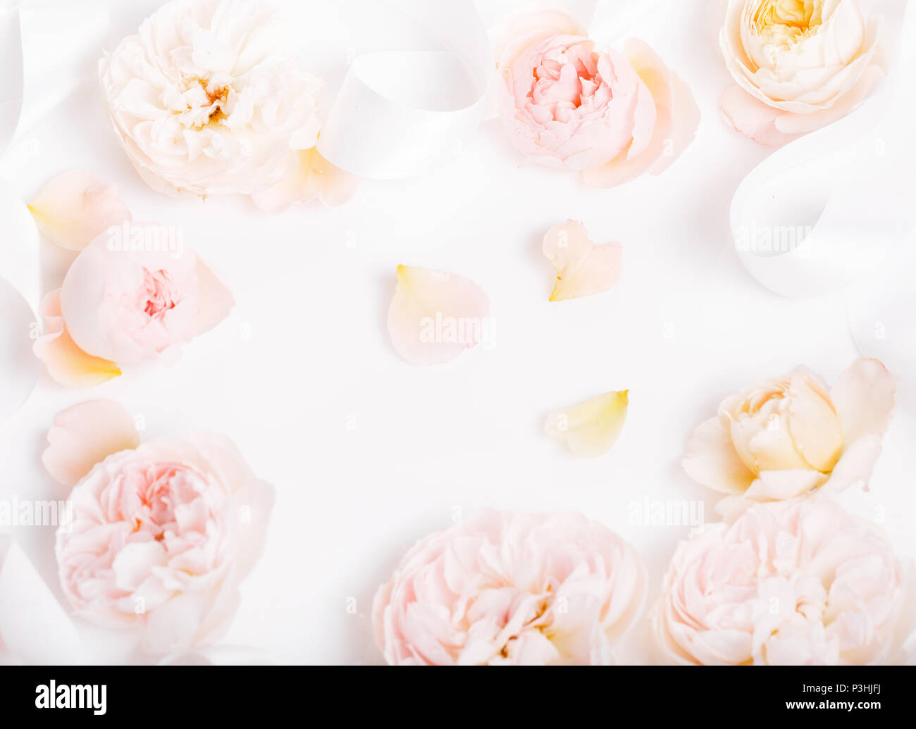Sweet color fabric roses in soft style for background Stock Photo - Alamy
