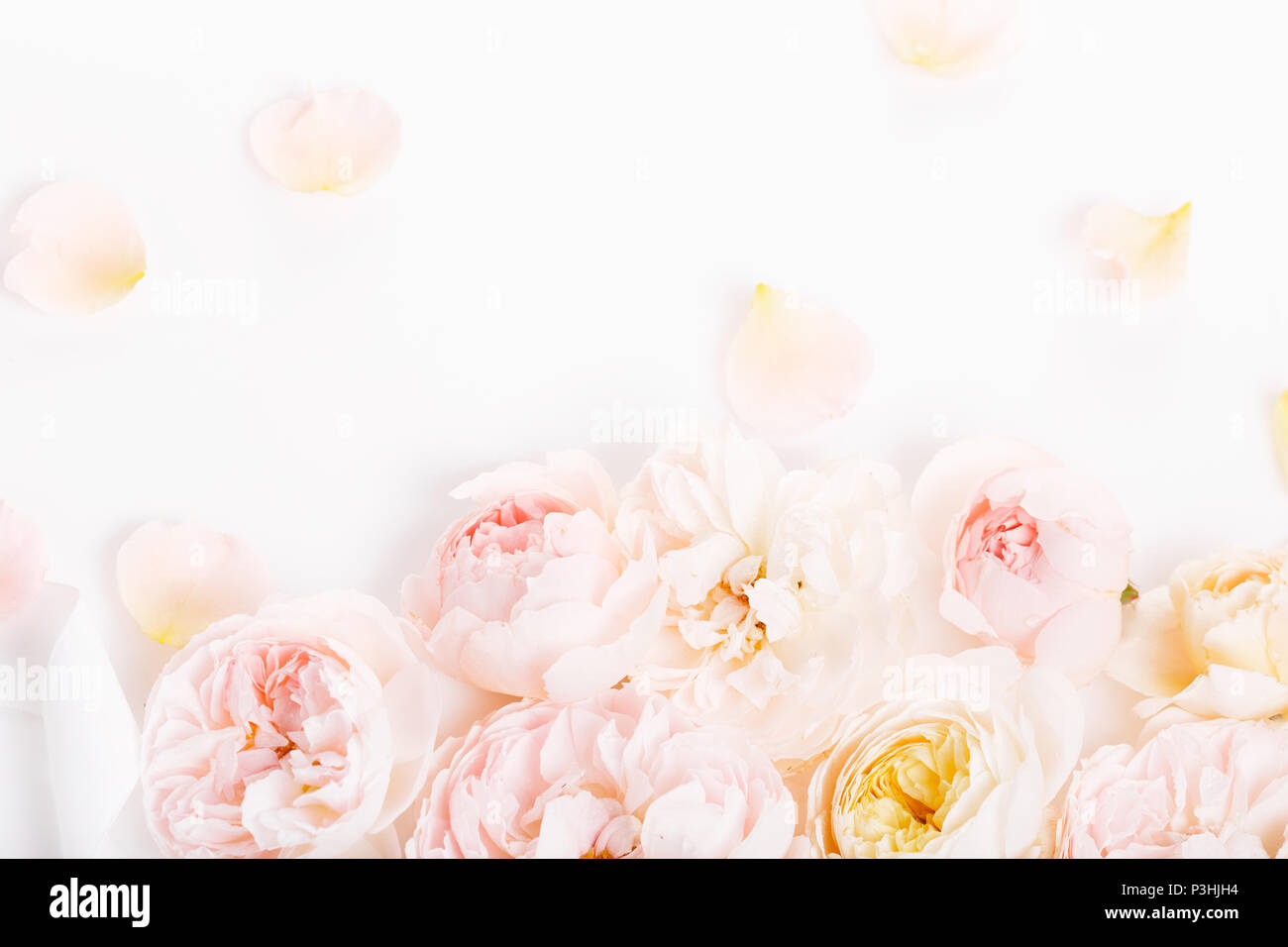 Sweet color fabric roses in soft style for background Stock Photo - Alamy