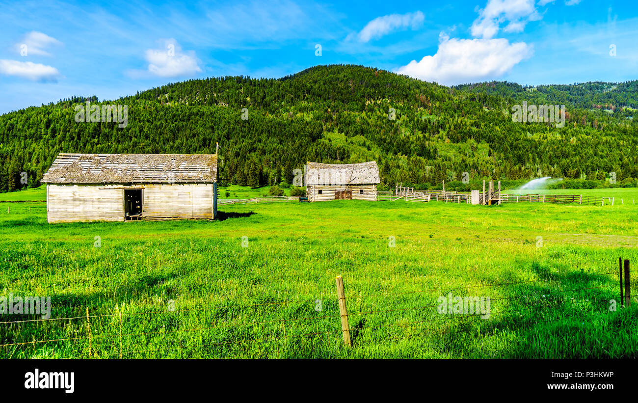 Old barns and irrigated meadows along the Heffley-Louis Creek Road ...