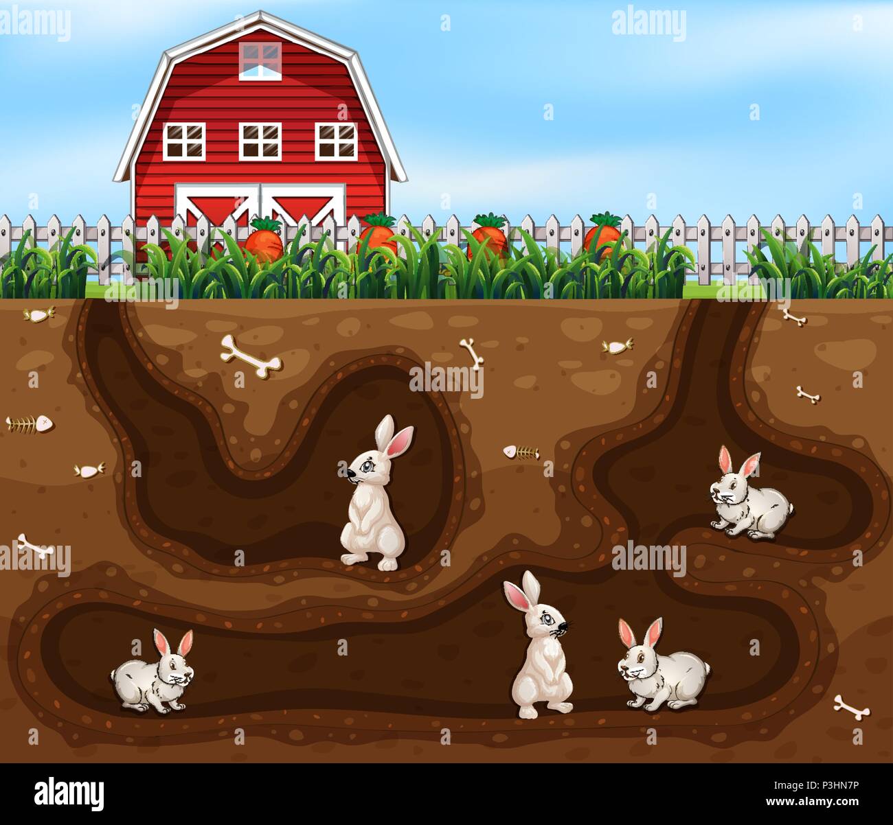 Rabbit House Underground the Farm illustration Stock Vector Image & Art ...