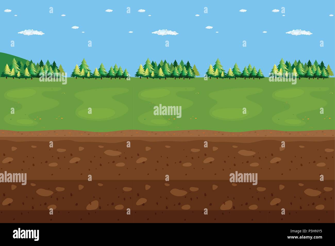 Forest Panorama Landscape and Underground illustration Stock Vector ...