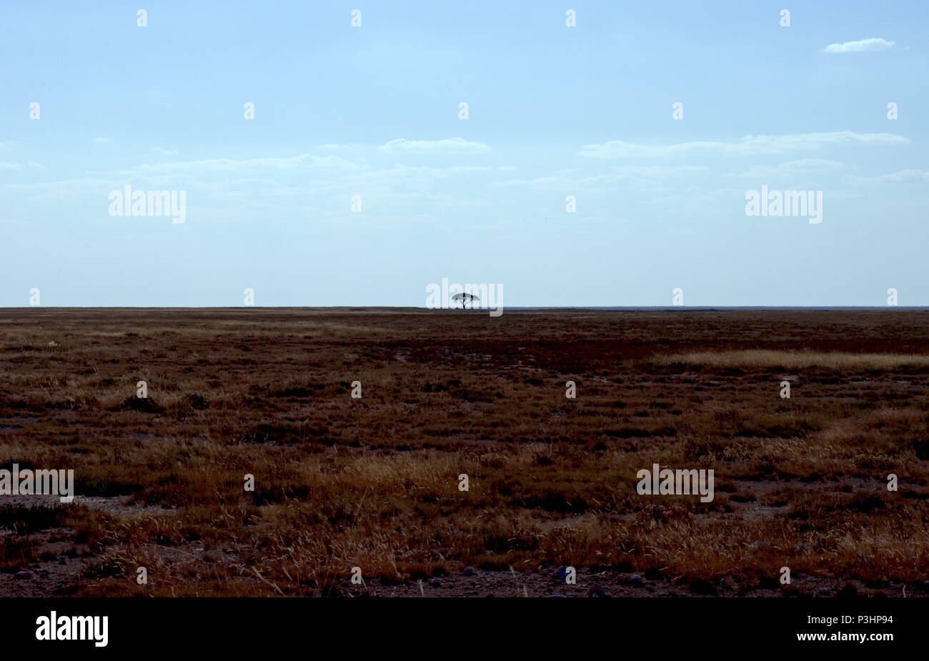 Resilient landscape hi-res stock photography and images - Alamy