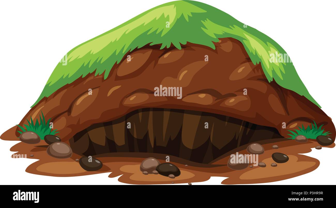 An Animal Underground Habitat on White Background illustration Stock ...