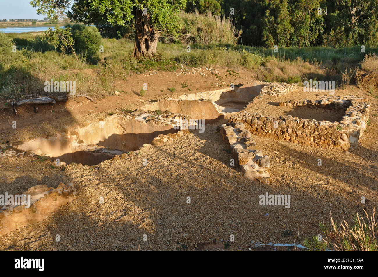 Garum mosaic hi-res stock photography and images - Alamy
