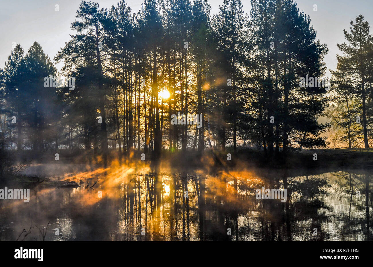 Sun rays cast through trees early morning over a river Stock Photo - Alamy