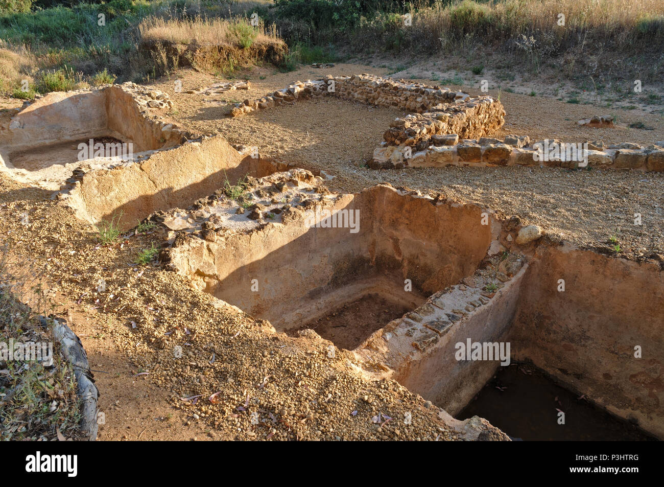 Garum mosaic hi-res stock photography and images - Alamy