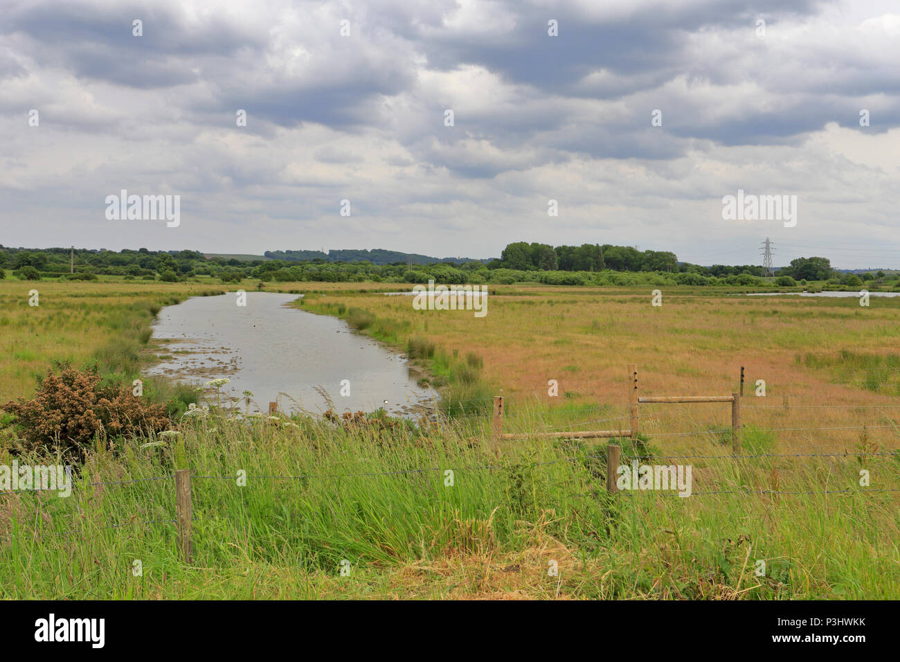 Adwick Washlands part of the RSPB Dearne Valley reserve near Mexborough ...