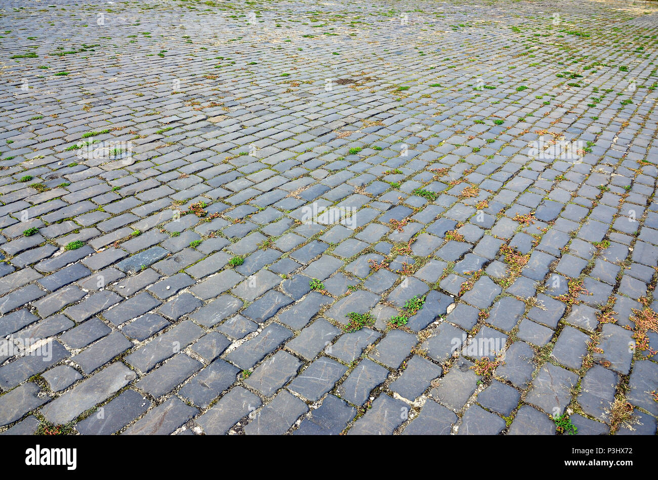 Photo of the site of a long and old worn paving slab Stock Photo - Alamy