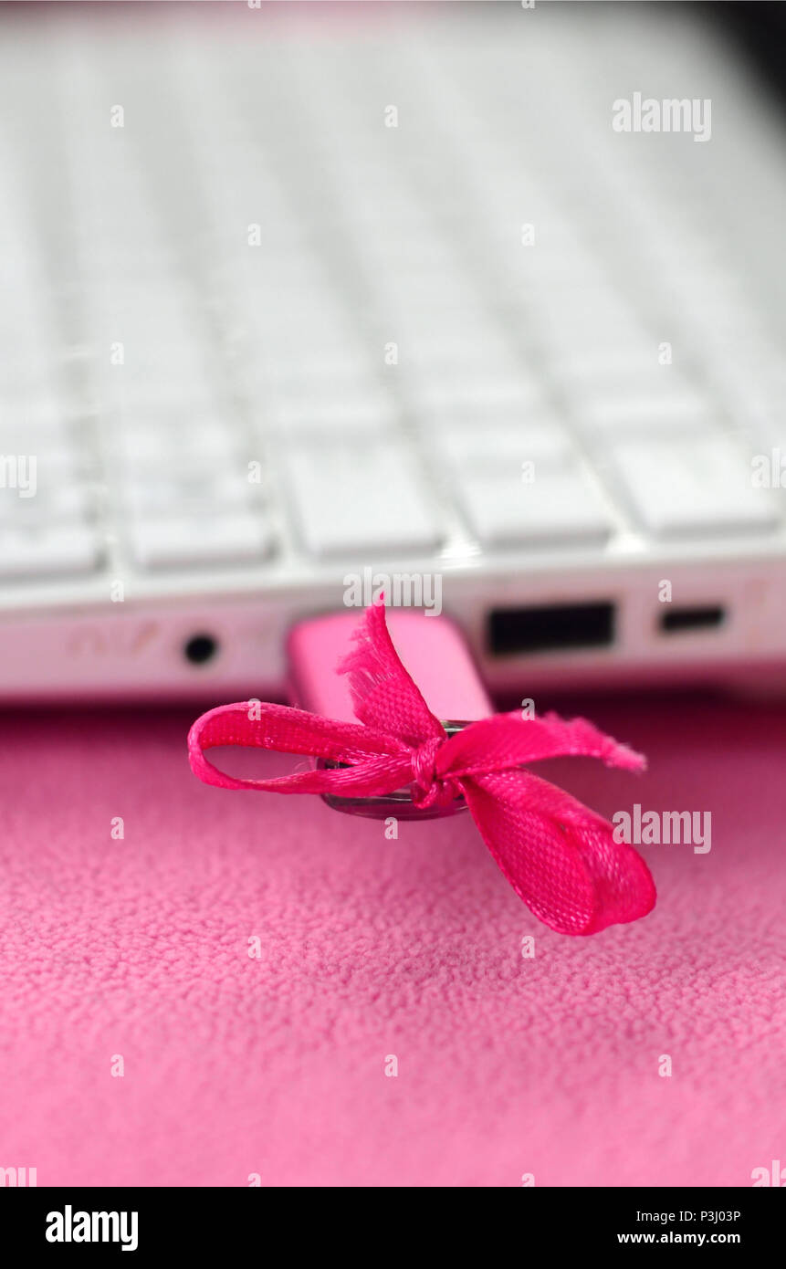 A brilliant pink USB flash drive with a pink bow is connected to a ...