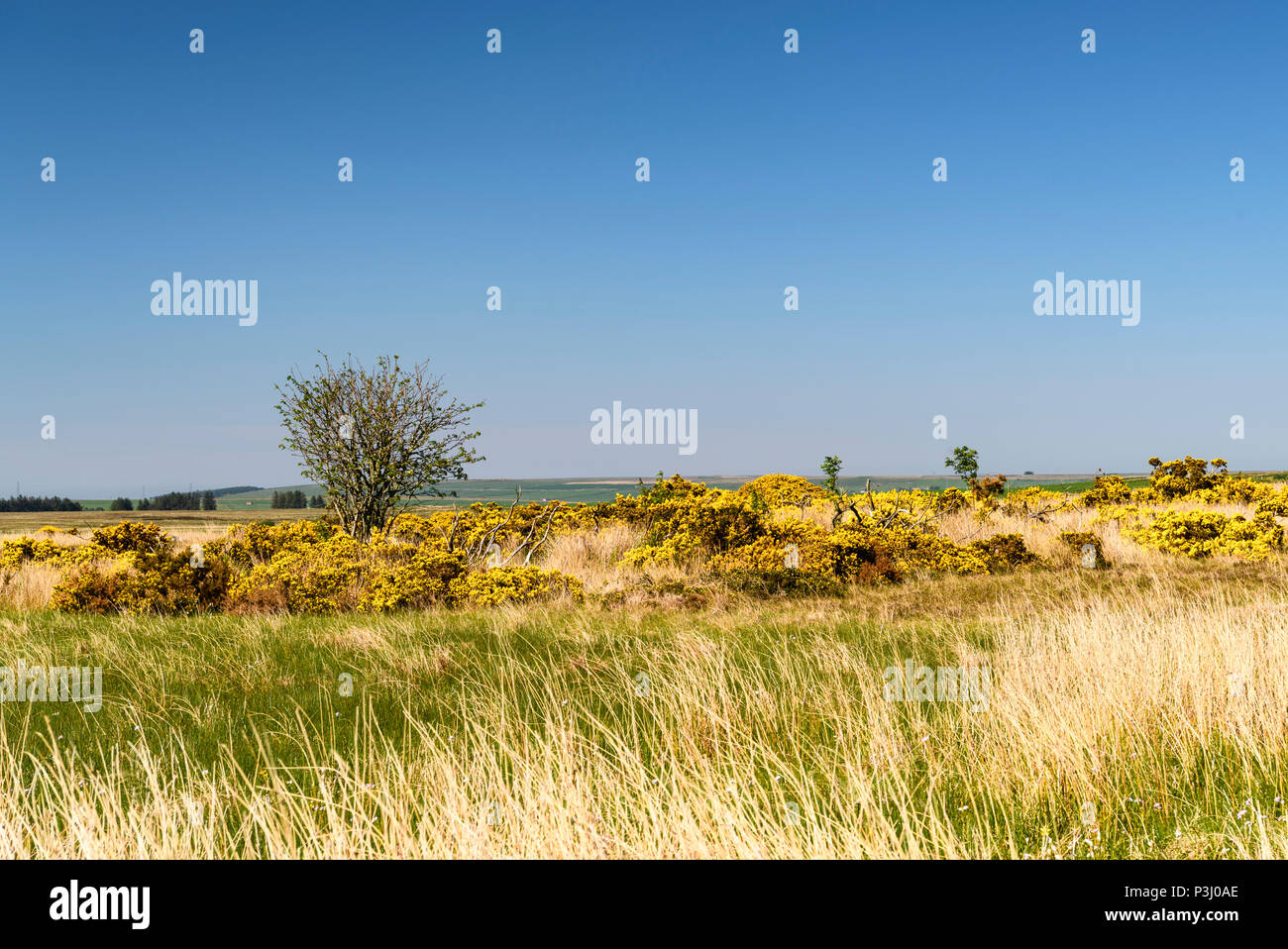 Flat countryside scene in hi-res stock photography and images - Alamy