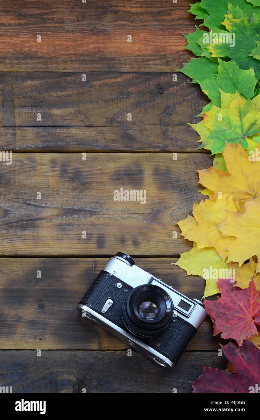 The old camera among a set of yellowing fallen autumn leaves on a ...