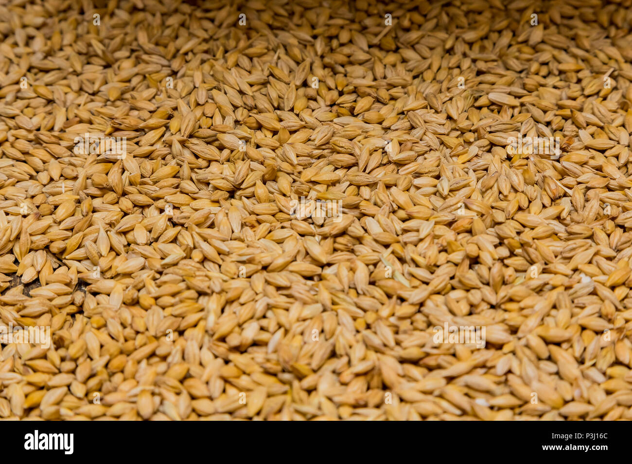 Sack of malt hi-res stock photography and images - Alamy