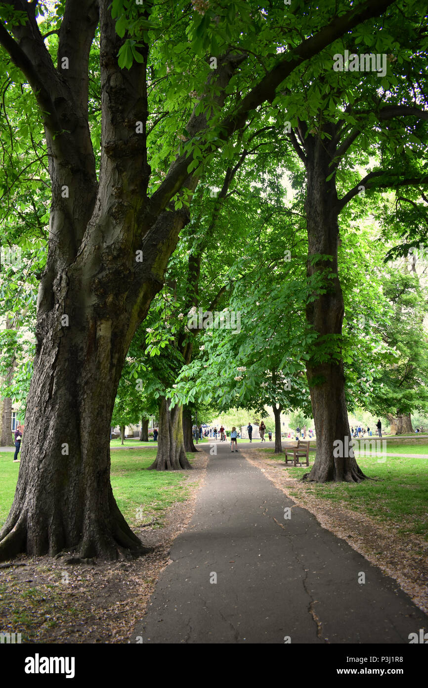 Children parks hi-res stock photography and images - Alamy