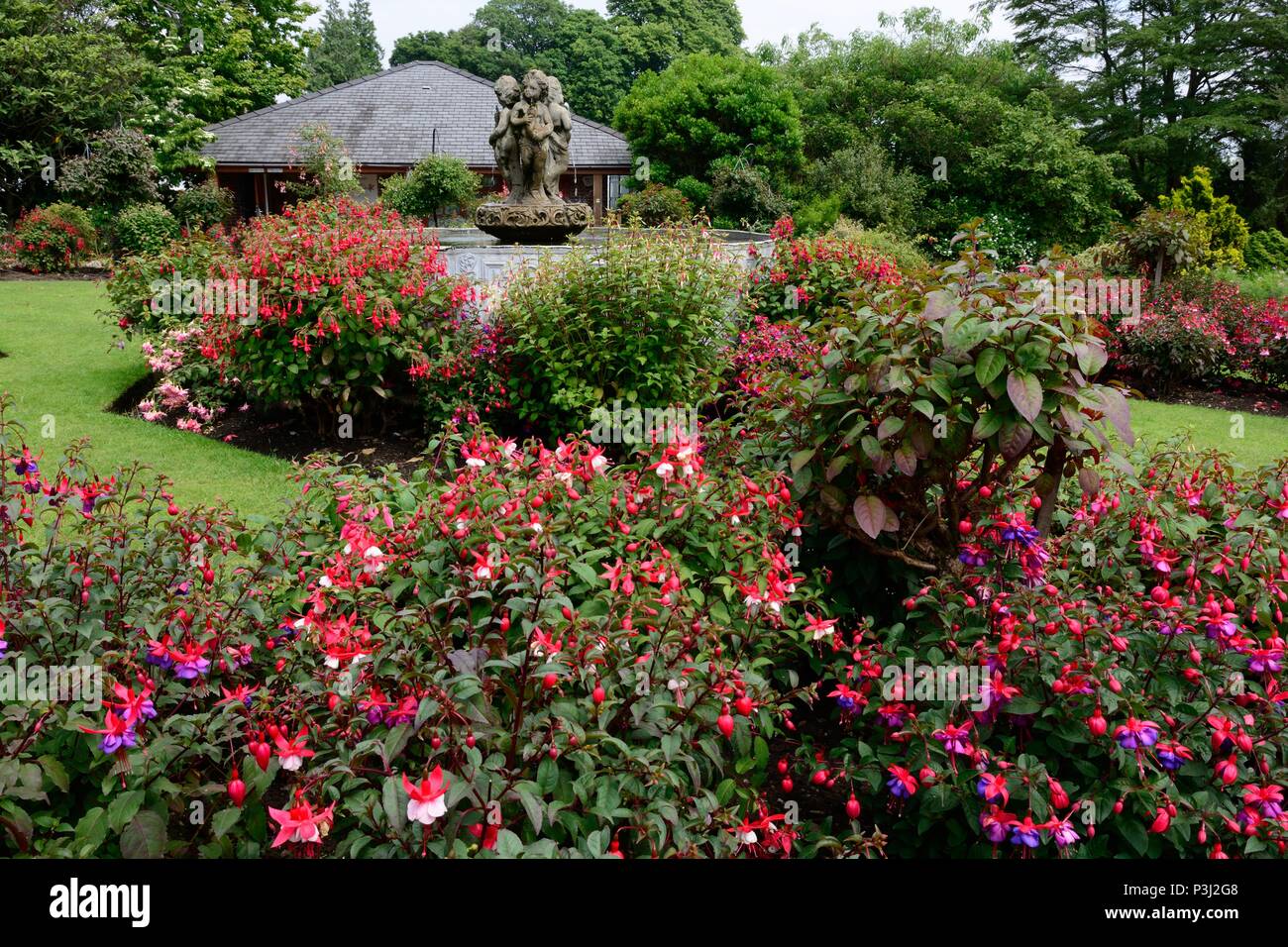 Singleton park garden hi-res stock photography and images - Alamy