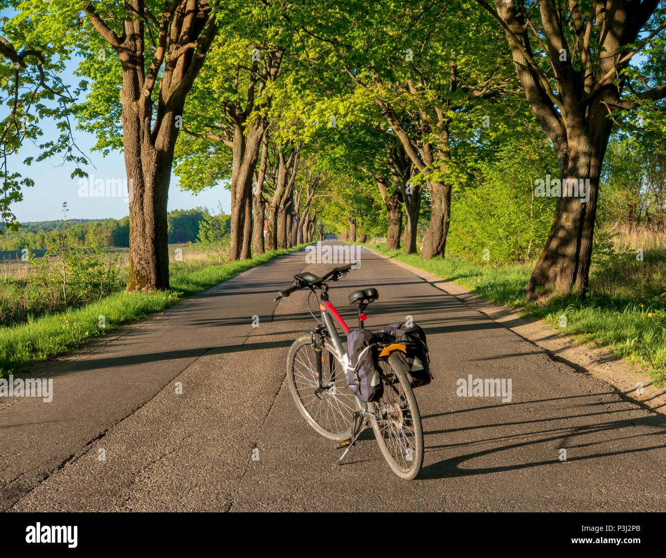 Road lifestyle hi-res stock photography and images - Alamy