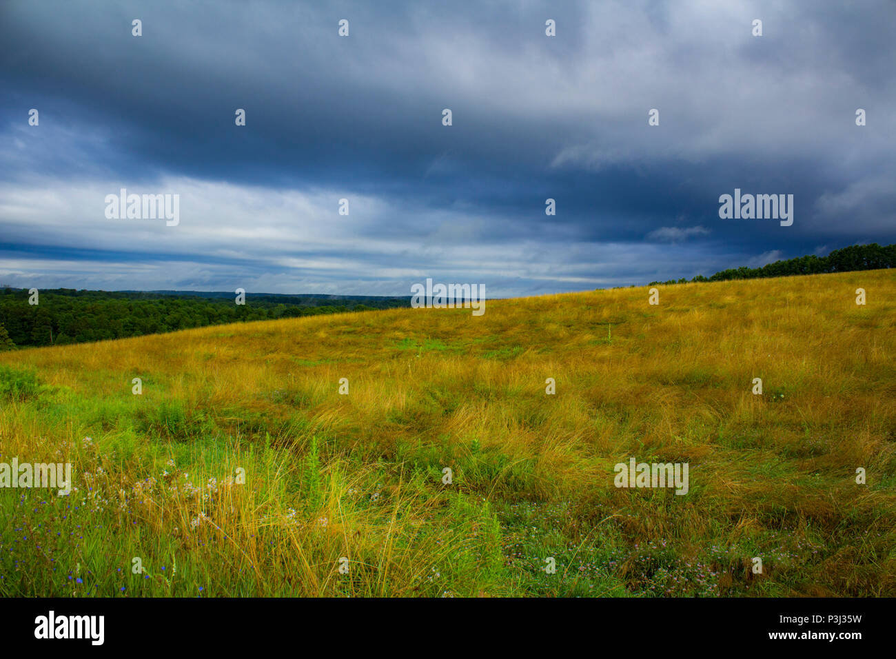 Chemung county hi-res stock photography and images - Alamy