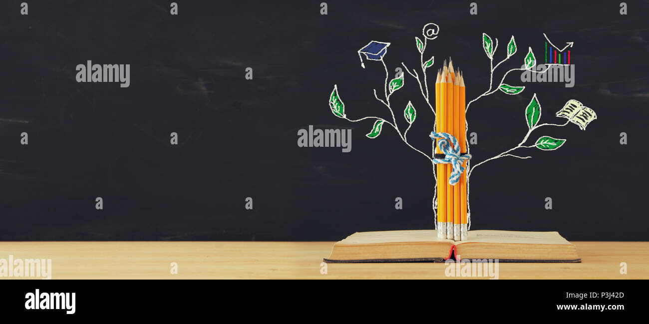 Back to school concept. tree of knowledge sketch and pencils over open ...