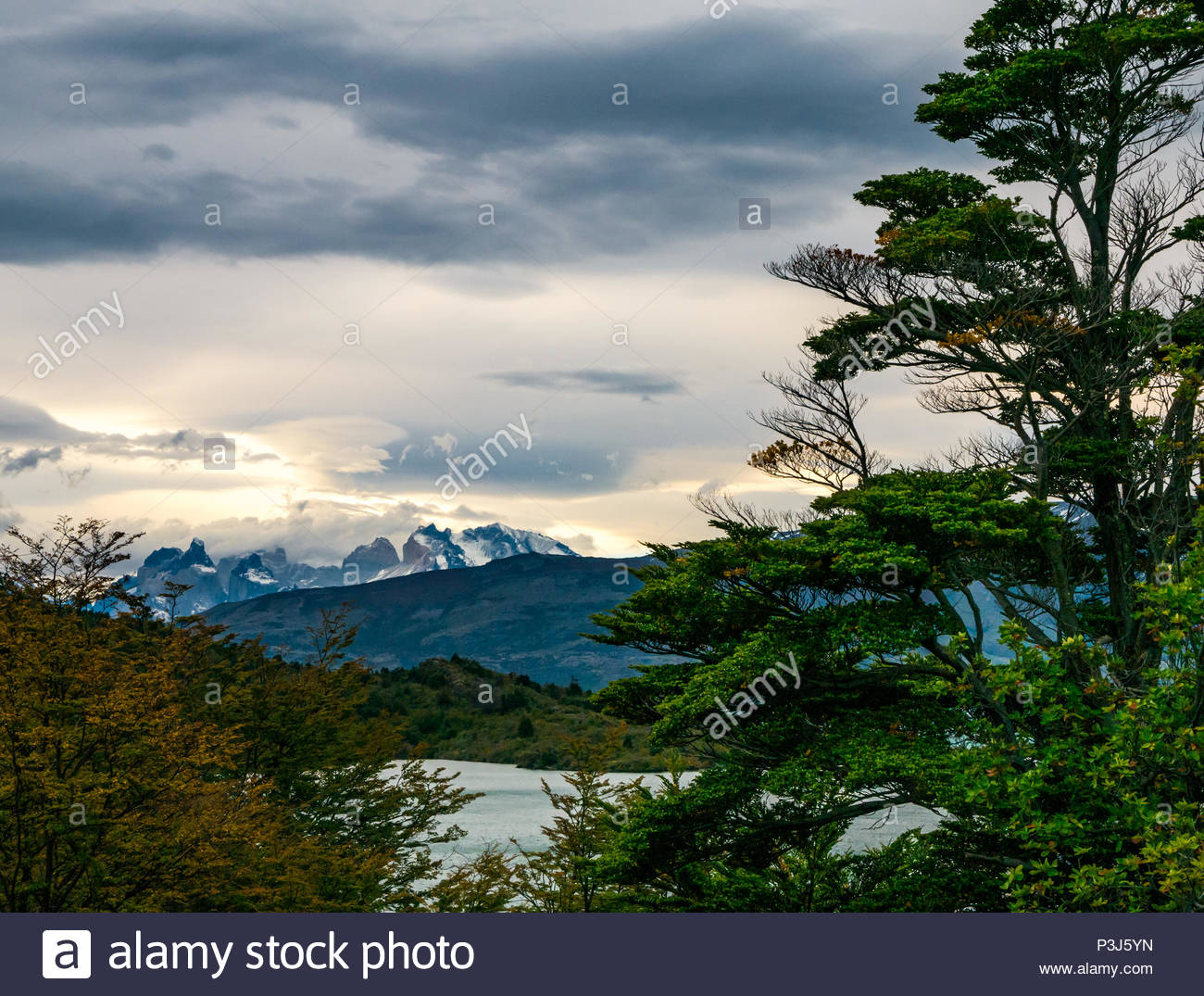 Del Toro Lake High Resolution Stock Photography and Images - Alamy