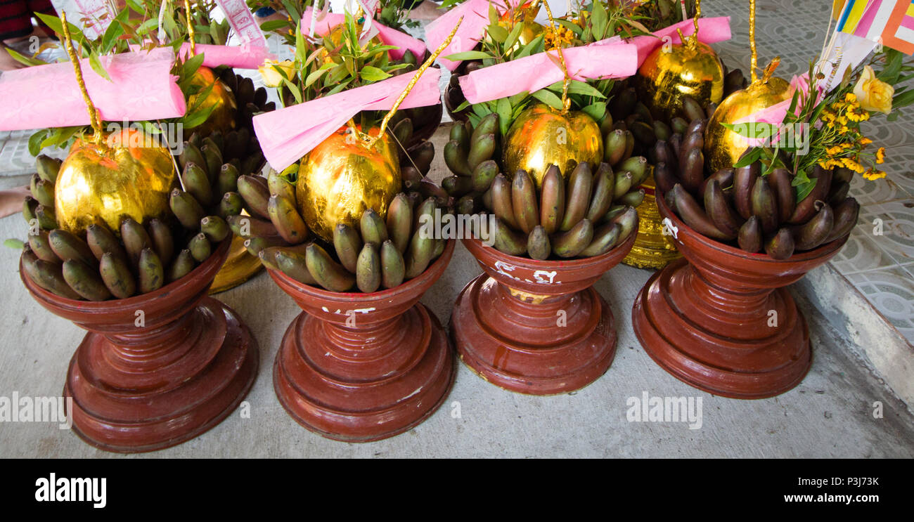 Sacrificial offering tray contains fresh bananas and fresh coconut ...