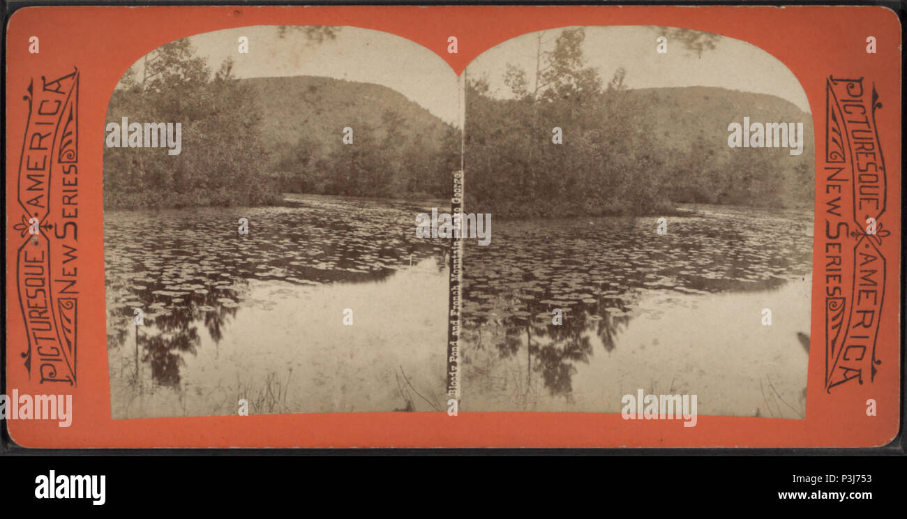 Bloody pond hi-res stock photography and images - Alamy