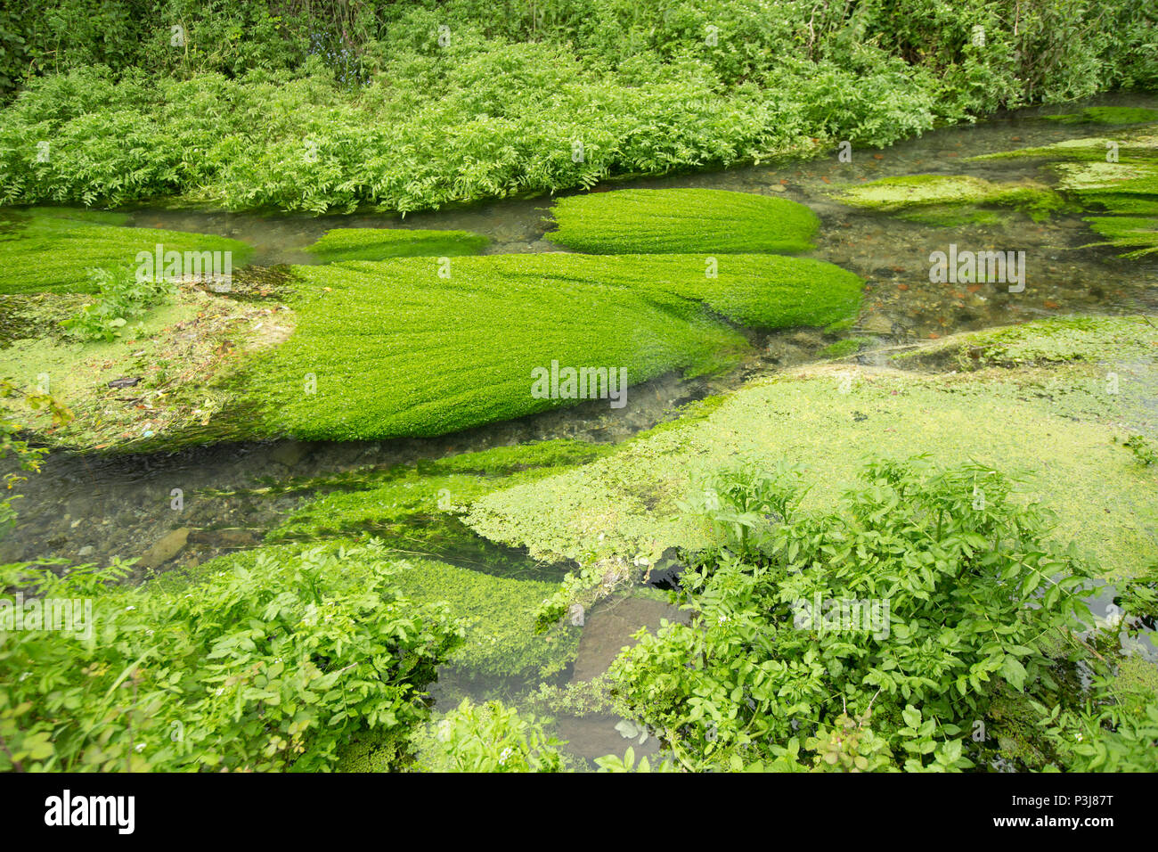 Shreen water tributary hi-res stock photography and images - Alamy