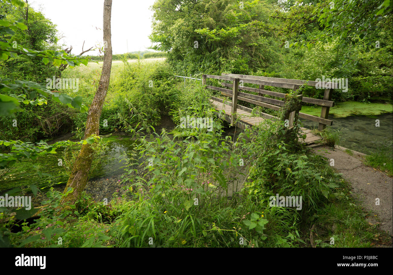 Wooden footbridge over Shreen Water chalkstream below the small town of ...