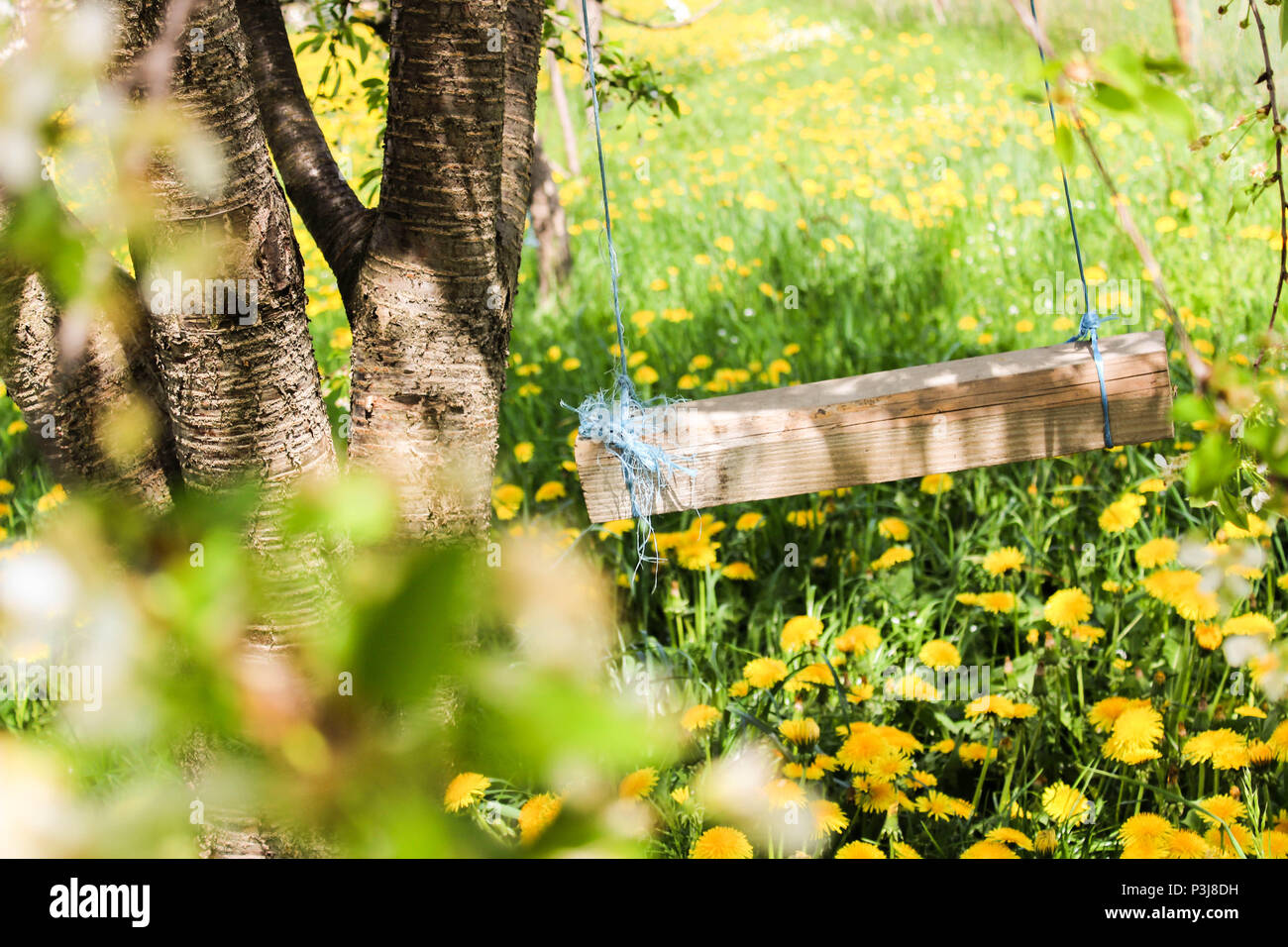 Tree cradle hi-res stock photography and images - Alamy