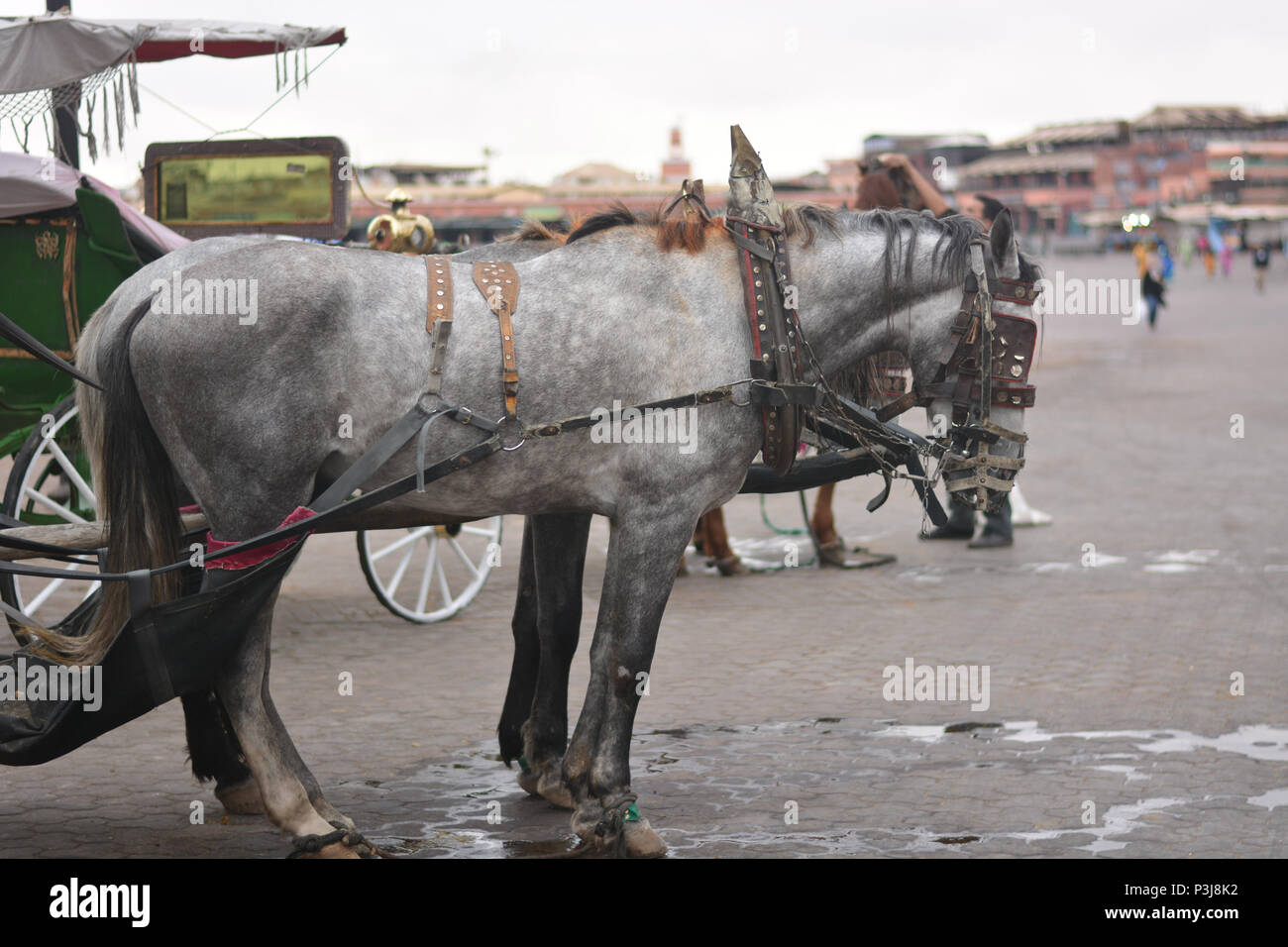 Old means of transport Stock Photo - Alamy