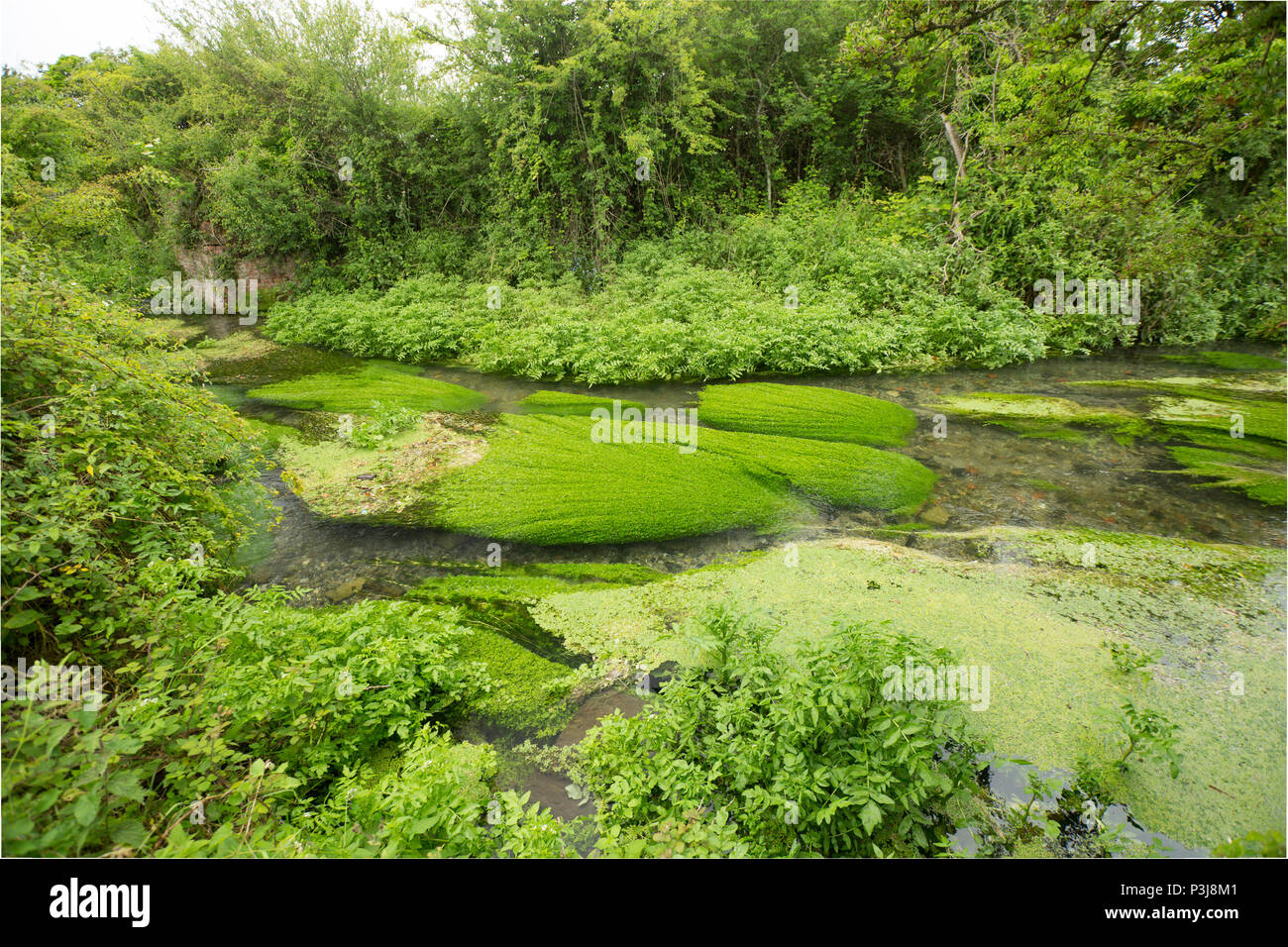Shreen water tributary hi-res stock photography and images - Alamy