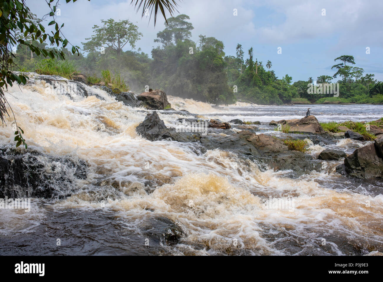 Chutes de la Lobé tumbling into the Atlantic Ocean at Kribi, Cameroon ...