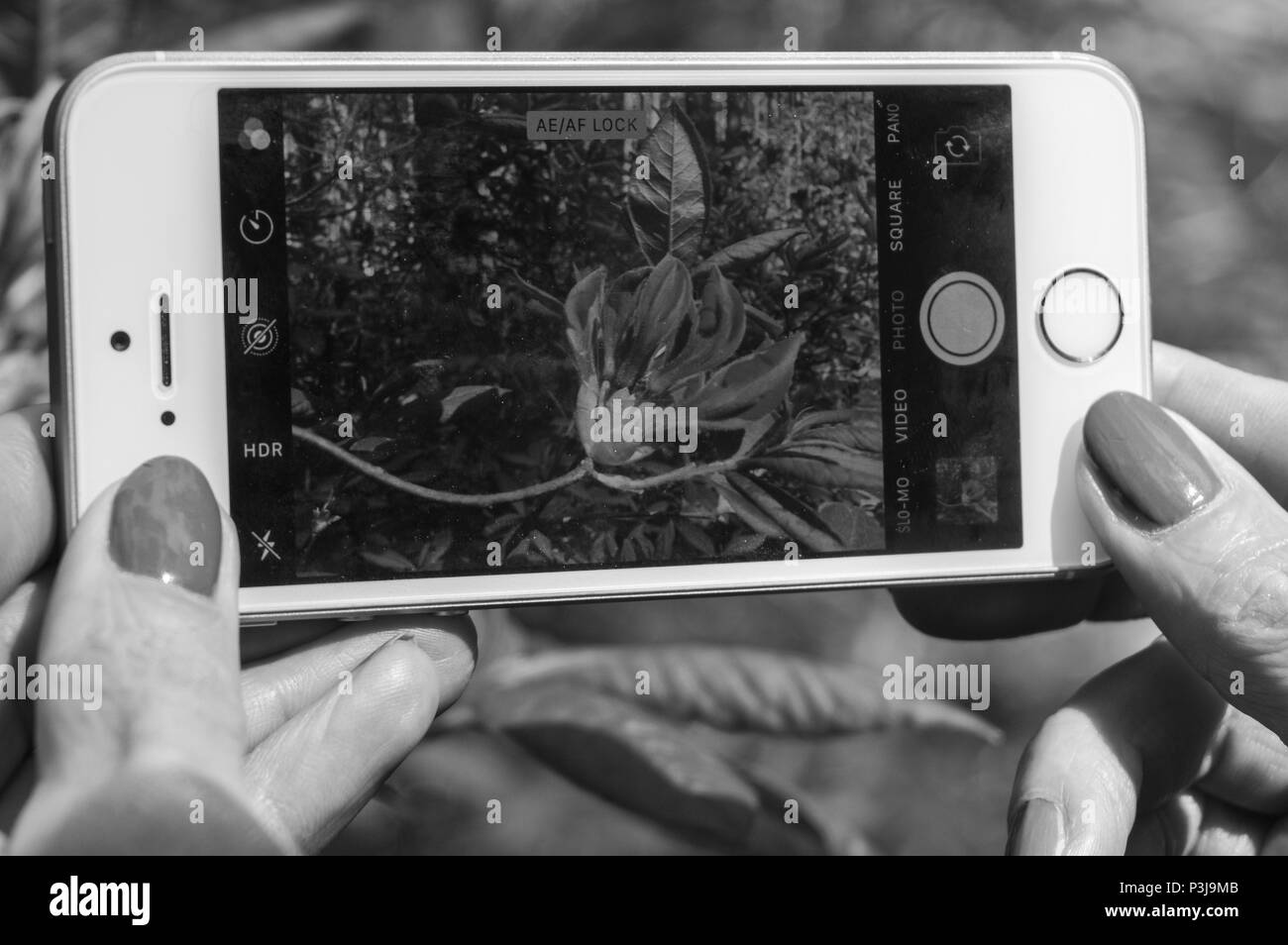 Take photo smartphone Black and White Stock Photos & Images - Alamy