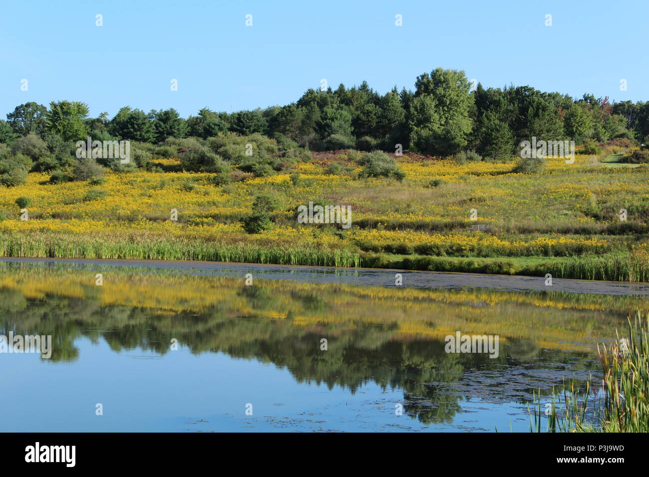 Chemung county hi-res stock photography and images - Alamy