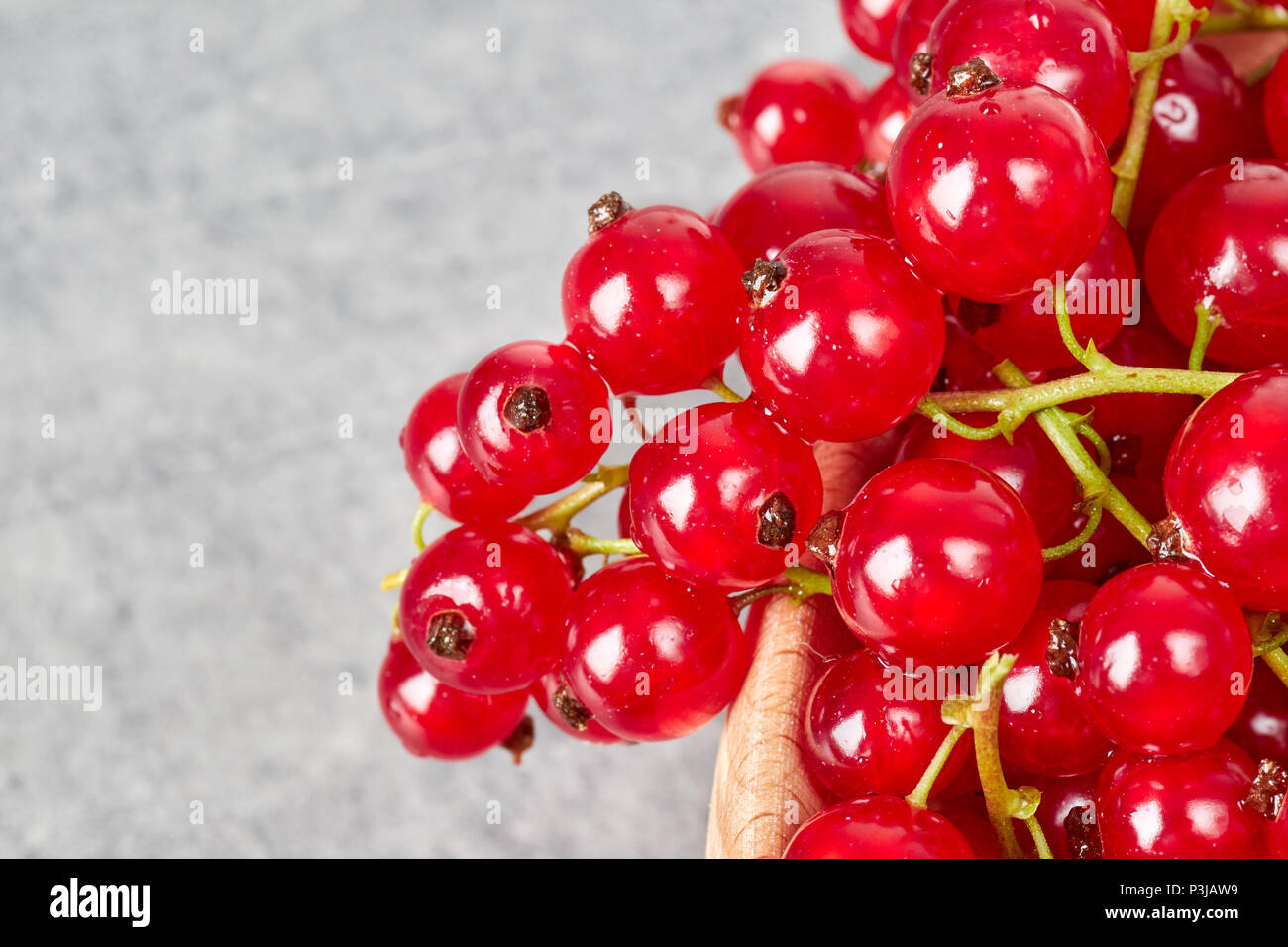 Close up picture of ripe juicy red currant berries, shallow depth of ...