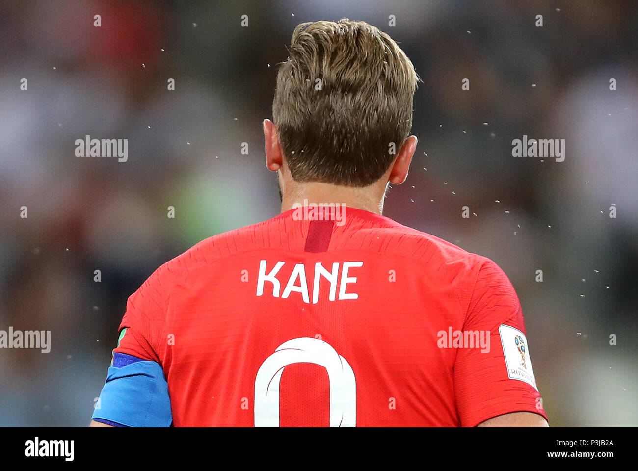 England's Harry Kane surrounded by insects during the FIFA World Cup ...