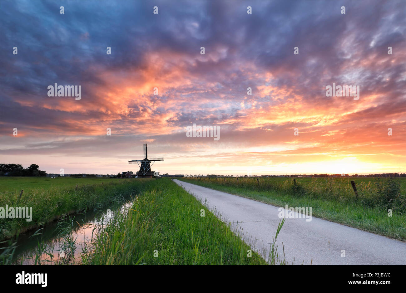 dramatic purple sunset in Dutch countryside with windmill, Holland ...