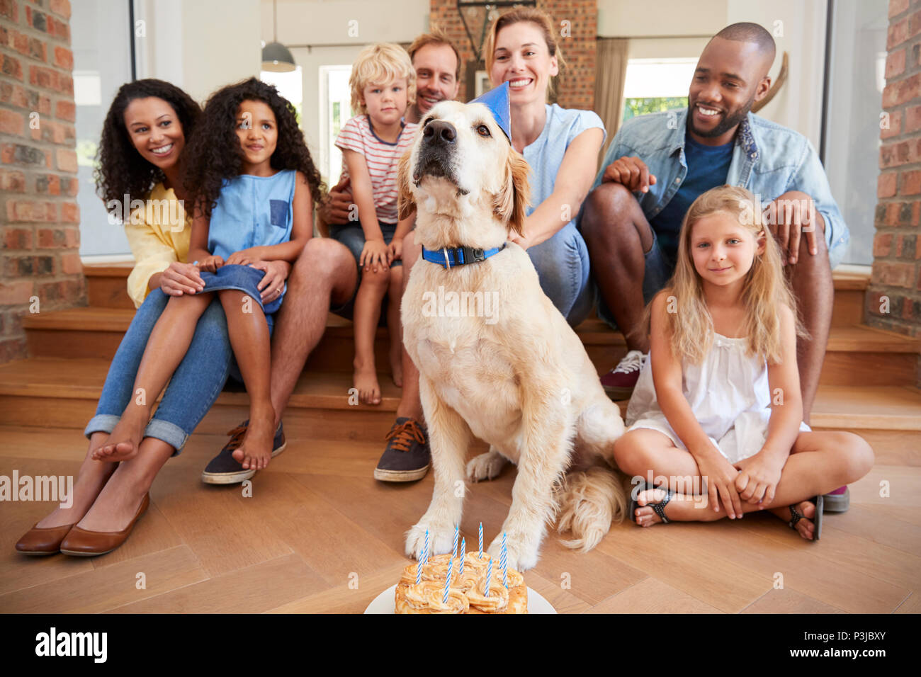 Two families celebrating pet dog’s birthday at home Stock Photo - Alamy