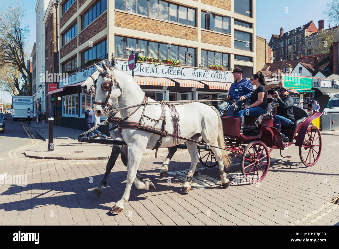 Hackney horse uk hi-res stock photography and images - Alamy