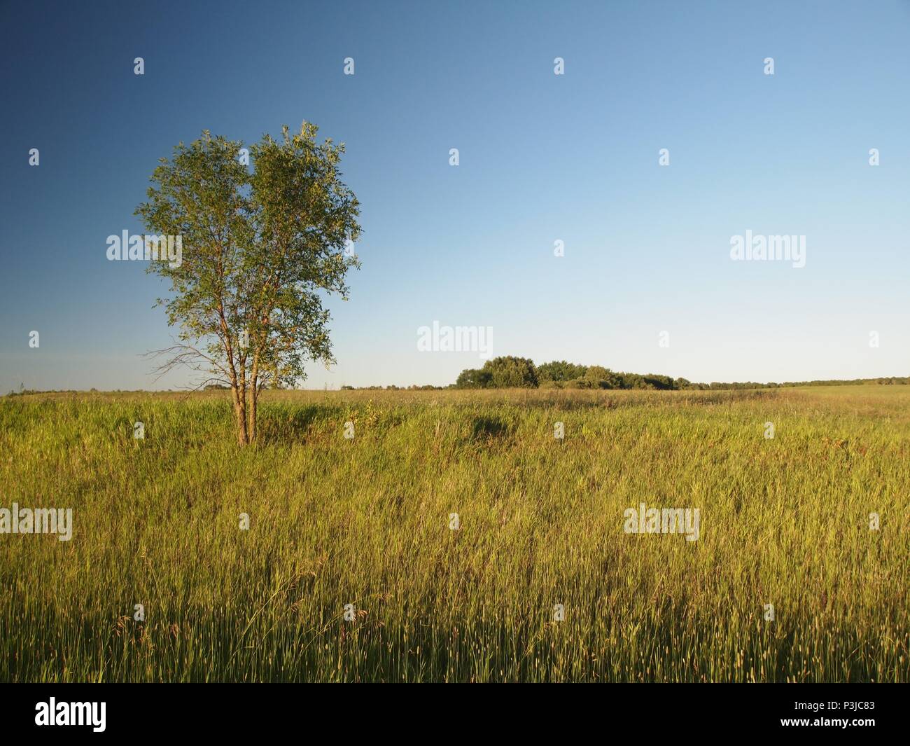 Manitoba landscape hi-res stock photography and images - Alamy