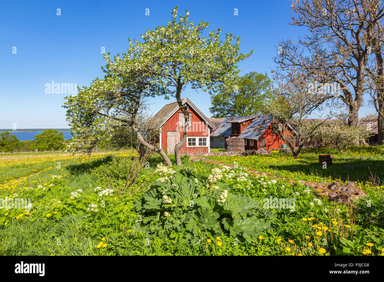 Vegetable Garden in a rural landscape Stock Photo - Alamy