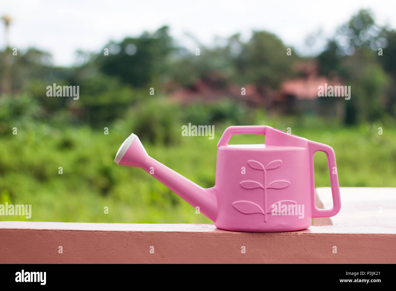 Pink watering can with green blurred nature background Stock Photo - Alamy