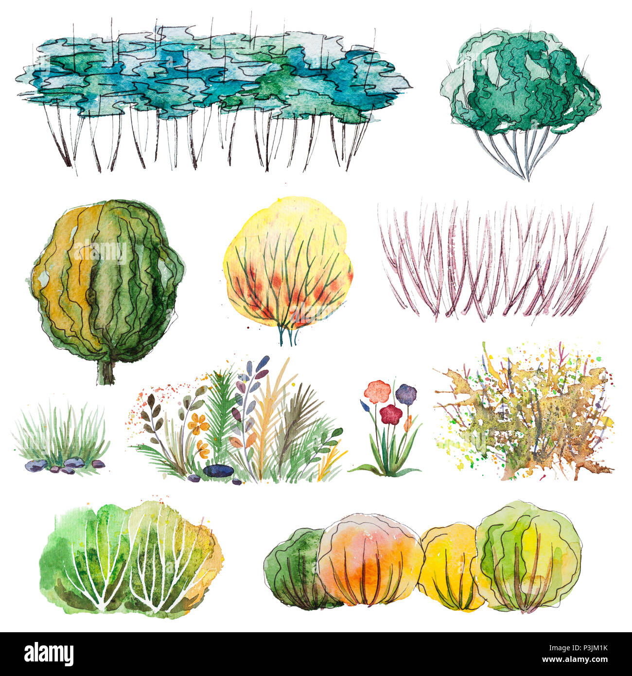 Yellow shrubs Cut Out Stock Images & Pictures - Alamy