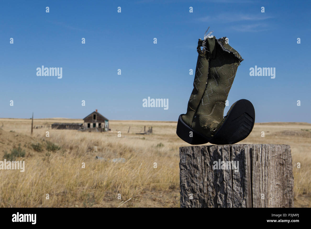 Vananda montana hi-res stock photography and images - Alamy