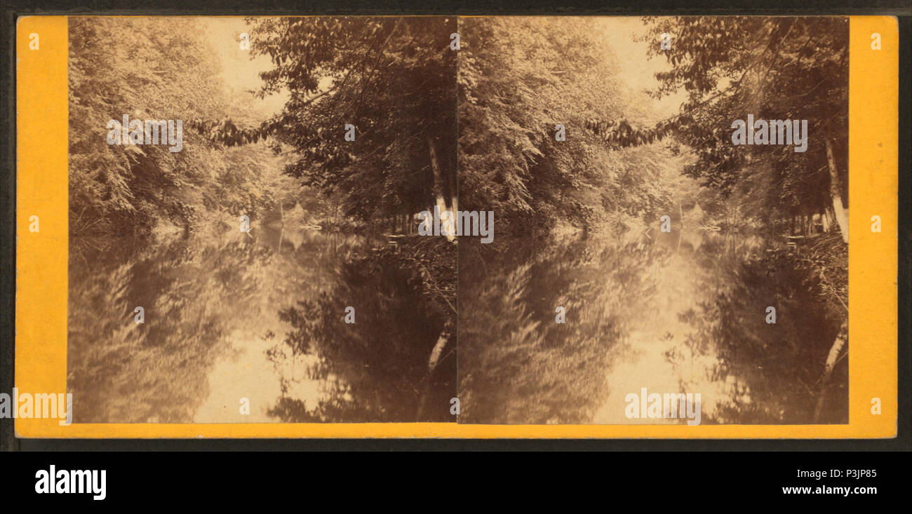 Bank of bartlett hi-res stock photography and images - Alamy