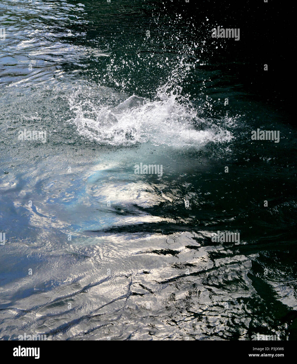 Water splash theme image hi-res stock photography and images - Alamy