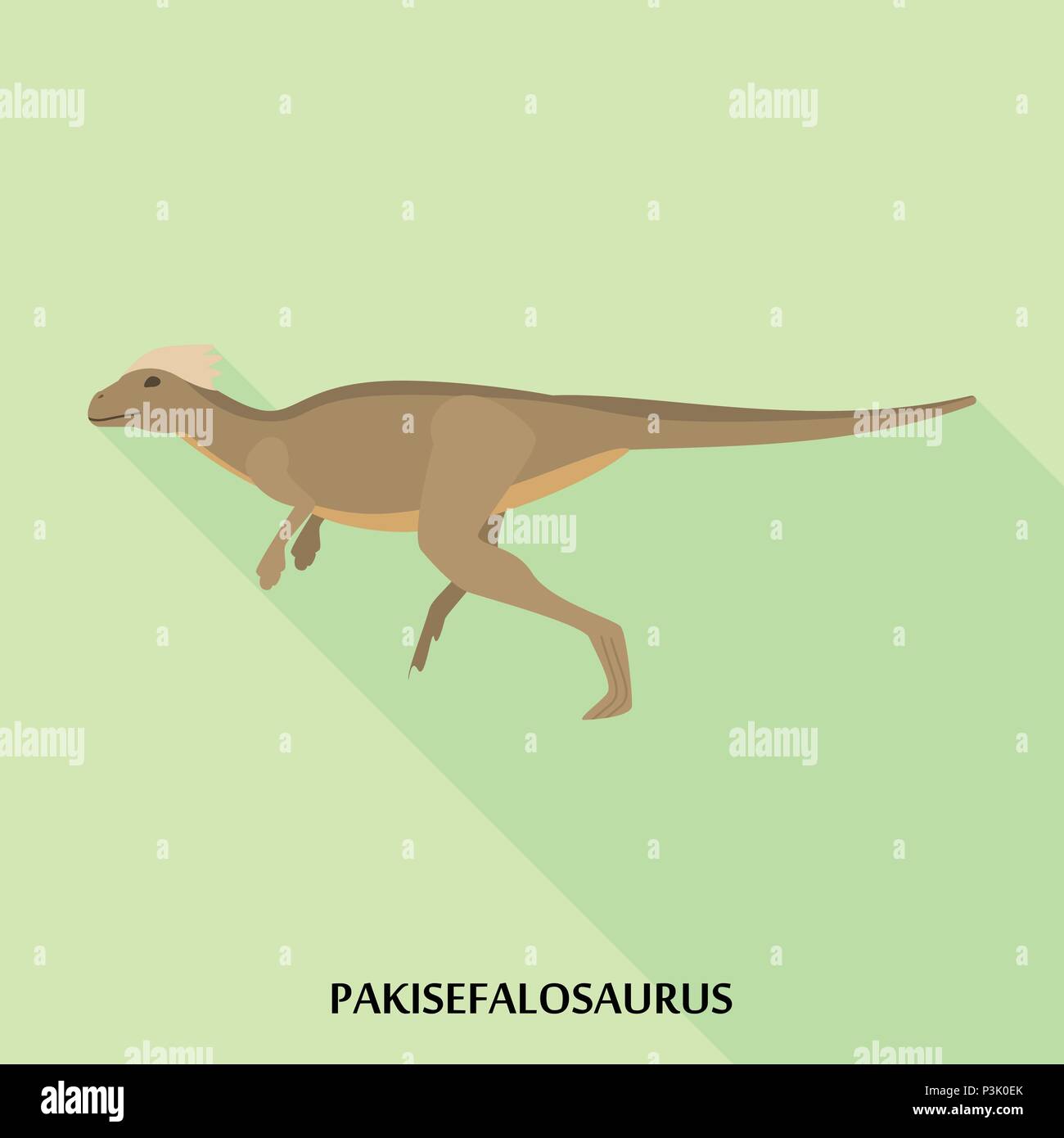 Pakisefalosaurus hi-res stock photography and images - Alamy