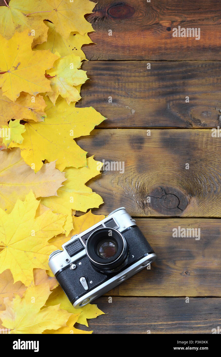 The old camera among a set of yellowing fallen autumn leaves on a ...