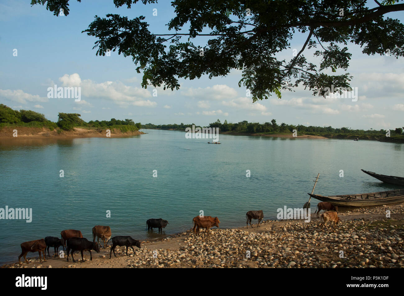 Boats on the Lalakhal at Jaintiapur. Sylhet, Bangladesh Stock Photo - Alamy