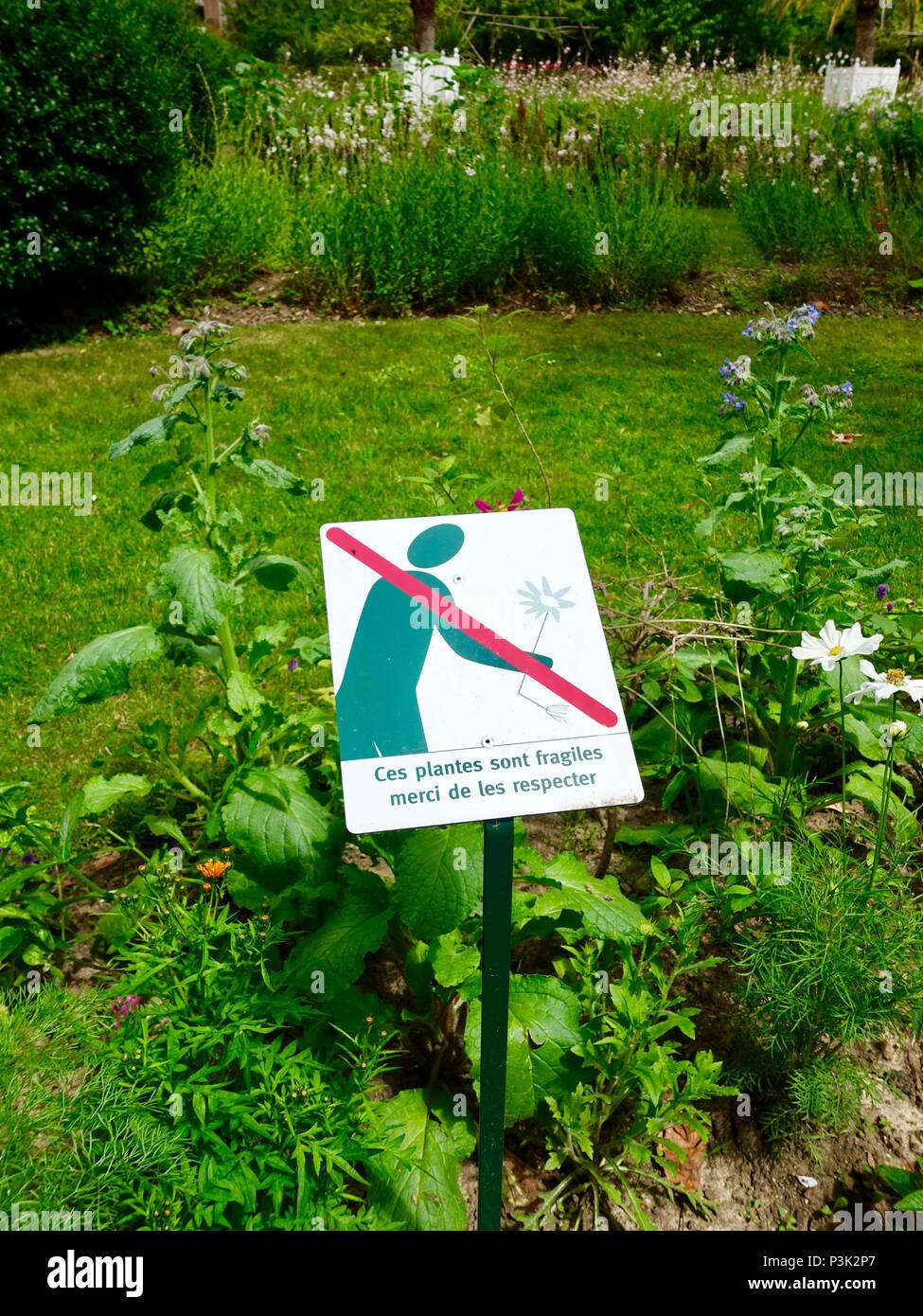 Sign, in French, asking visitors to please respect the plants. "Ces ...